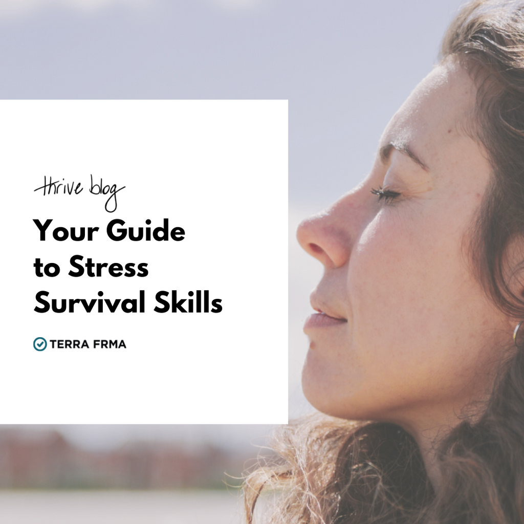 Your Guide to Stress Survival Skills – Terra Frma