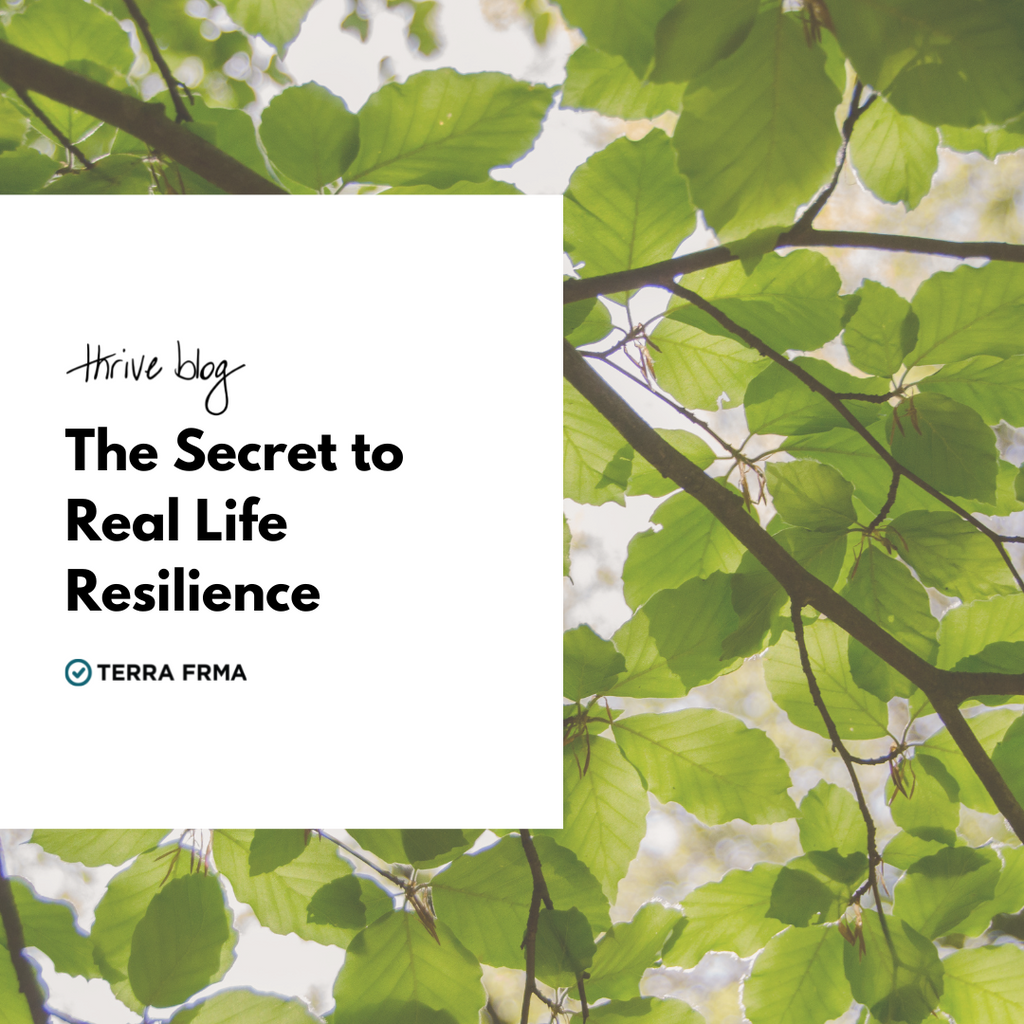 The Secret To Real Life Resilience – Terra Frma