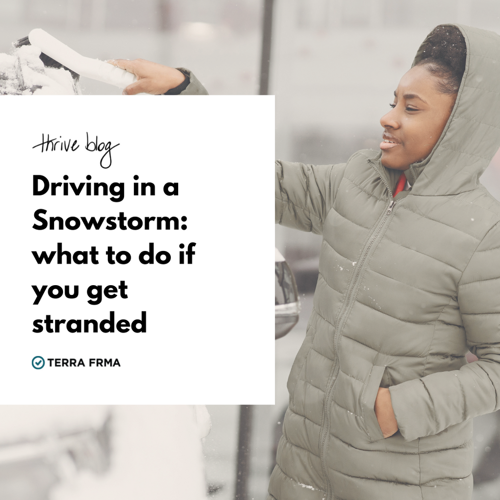 Driving in a Snowstorm: What To Do If You’re Stranded – Terra Frma
