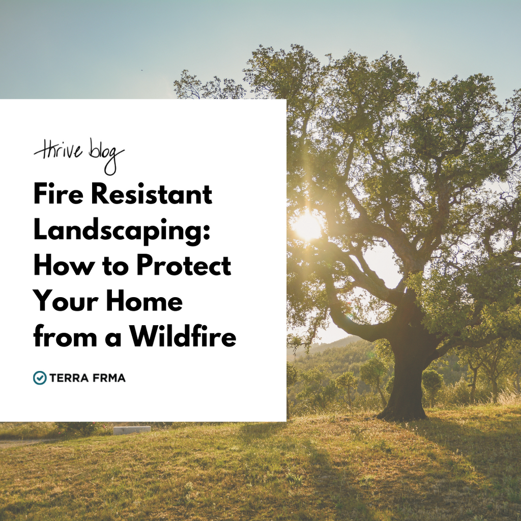 Protect Your Home Using Fire Resistant Landscaping – Terra Frma