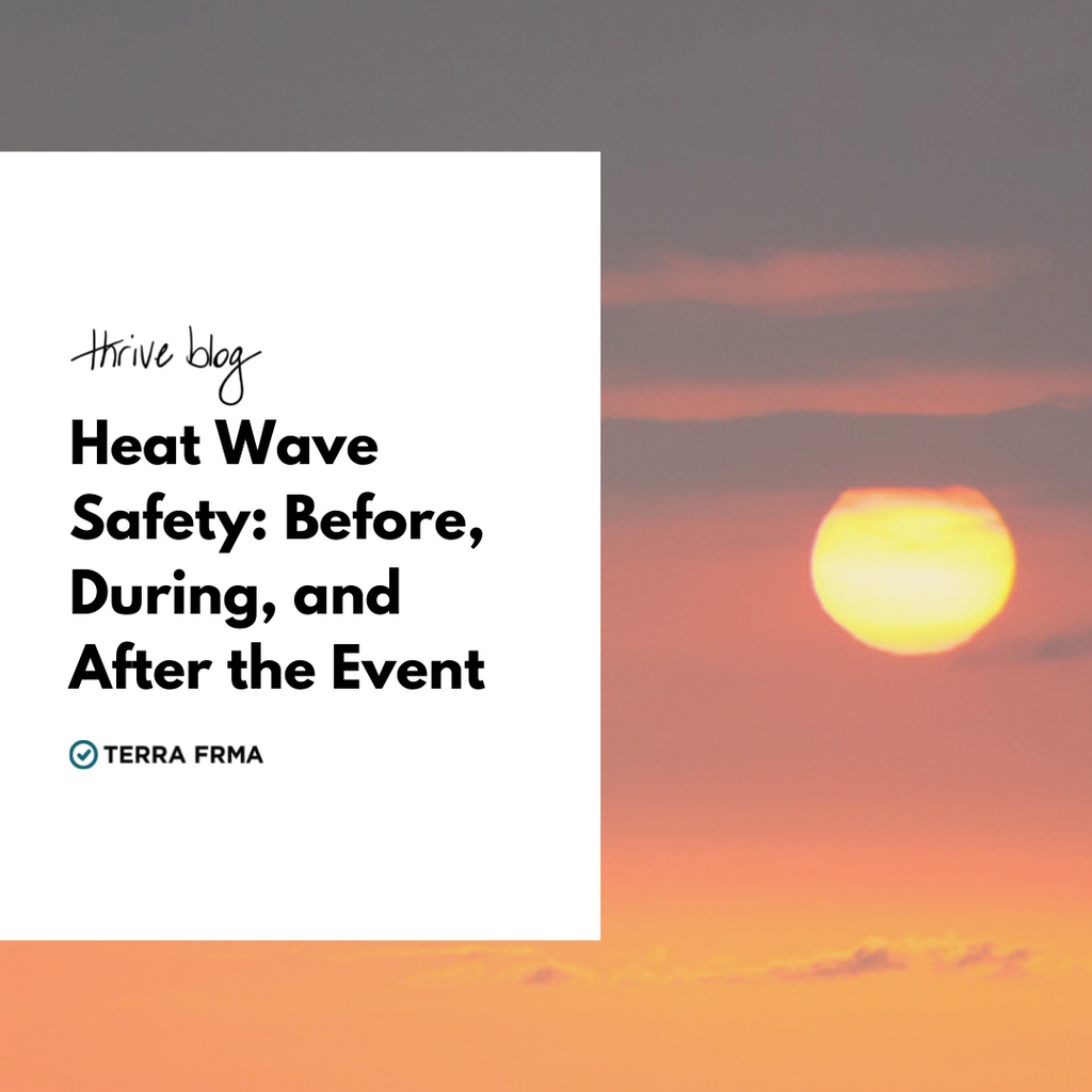 Everything You Should Know About Heat Wave Safety – Terra Frma