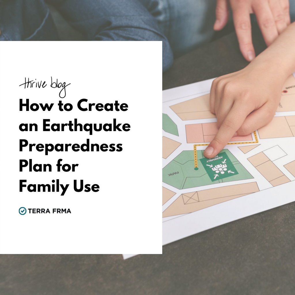 Making an Earthquake Preparedness Plan for Family Use – Terra Frma