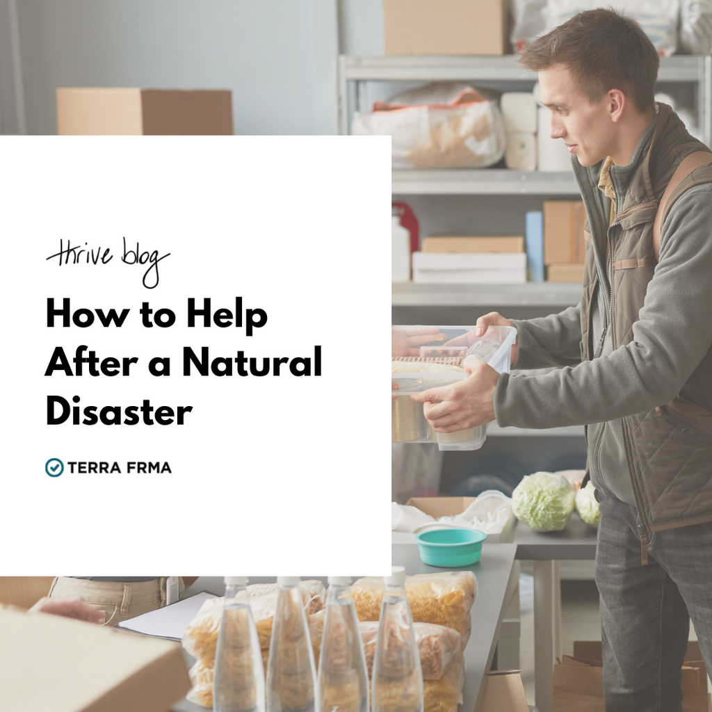 11 Post-Disaster Recovery Ideas for Affected Communities – Terra Frma