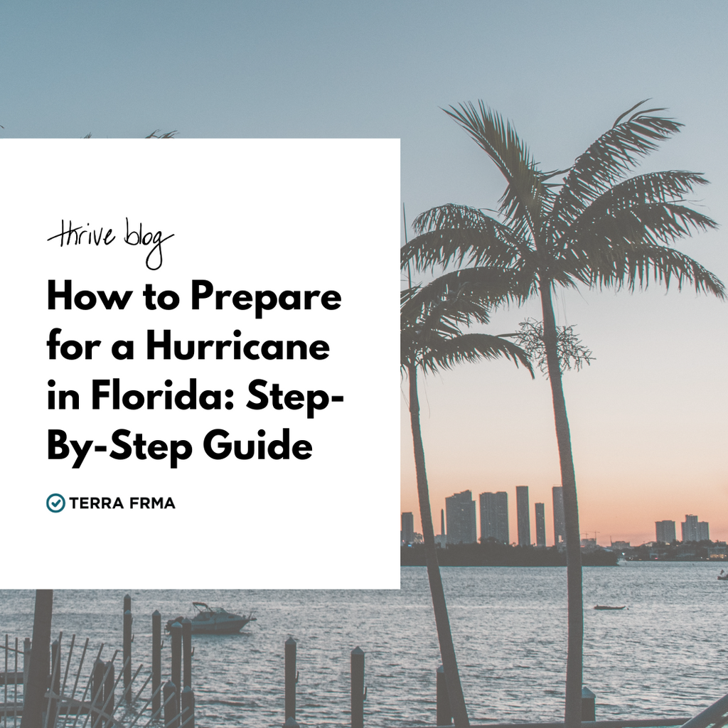 How to Prepare for a Hurricane in Florida: Step-By-Step Guide – Terra Frma