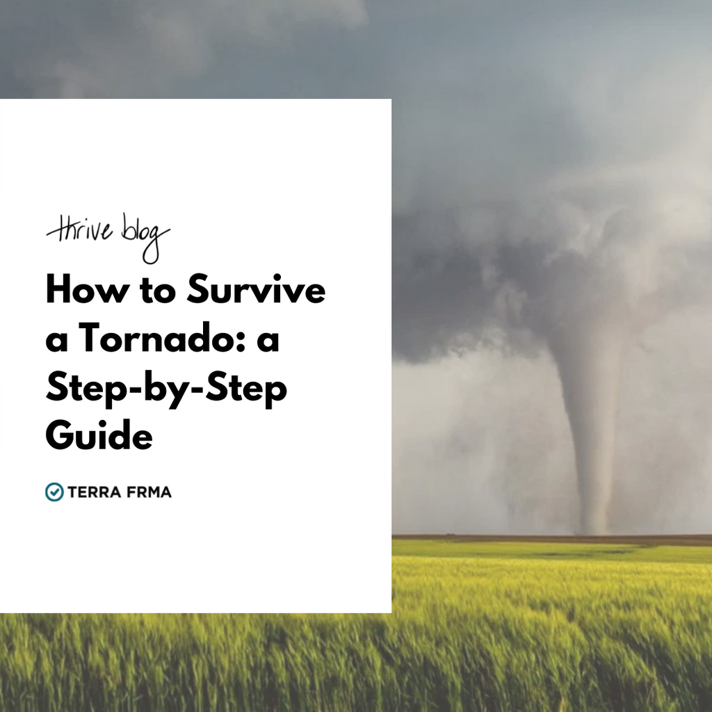How to Survive a Tornado: Disaster Preparedness Guide – Terra Frma