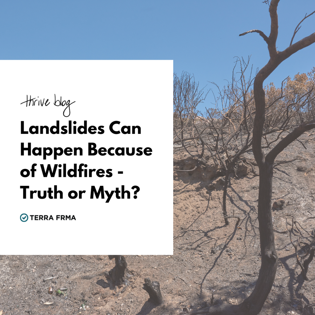 Landslides Can Happen Because of Wildfires - Truth or Myth? – Terra Frma