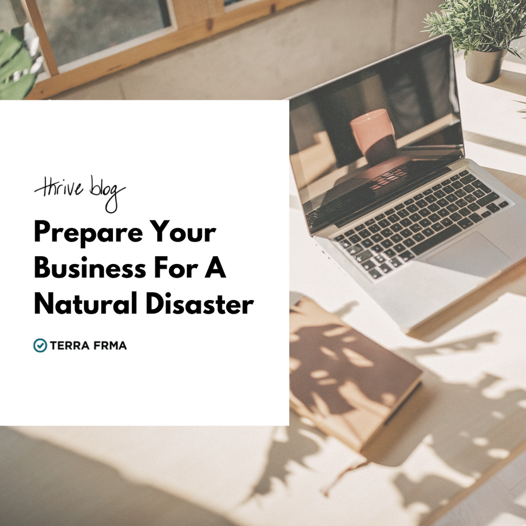 7 Ways to Prepare Your Business for a Natural Disaster – Terra Frma