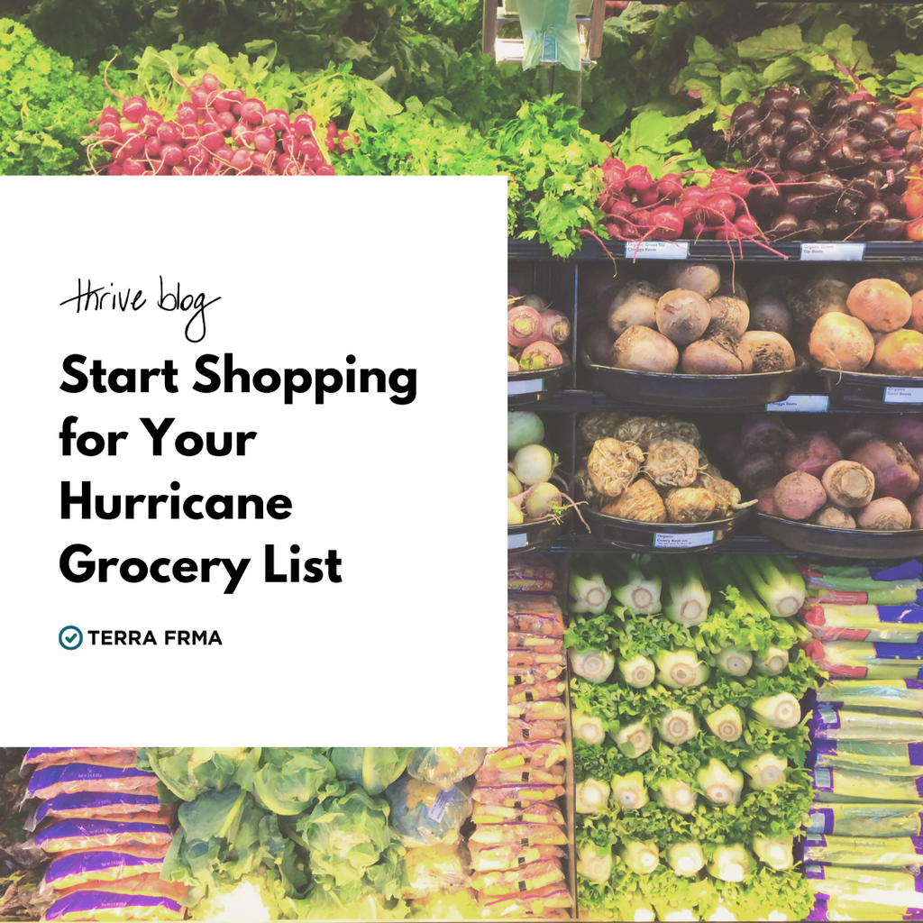 Start Shopping for Your Hurricane Grocery List – Terra Frma