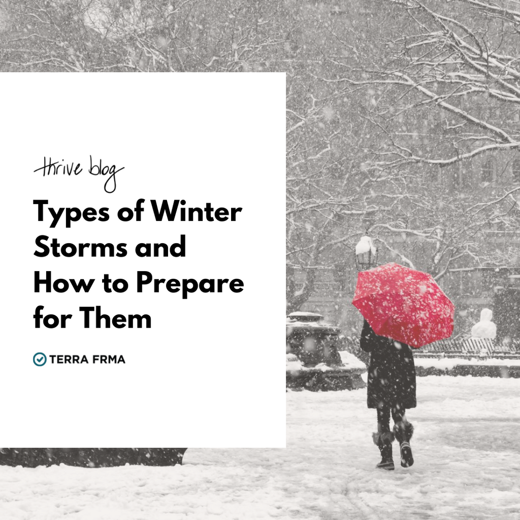 Preparedness Tips for Various Types of Winter Storms – Terra Frma