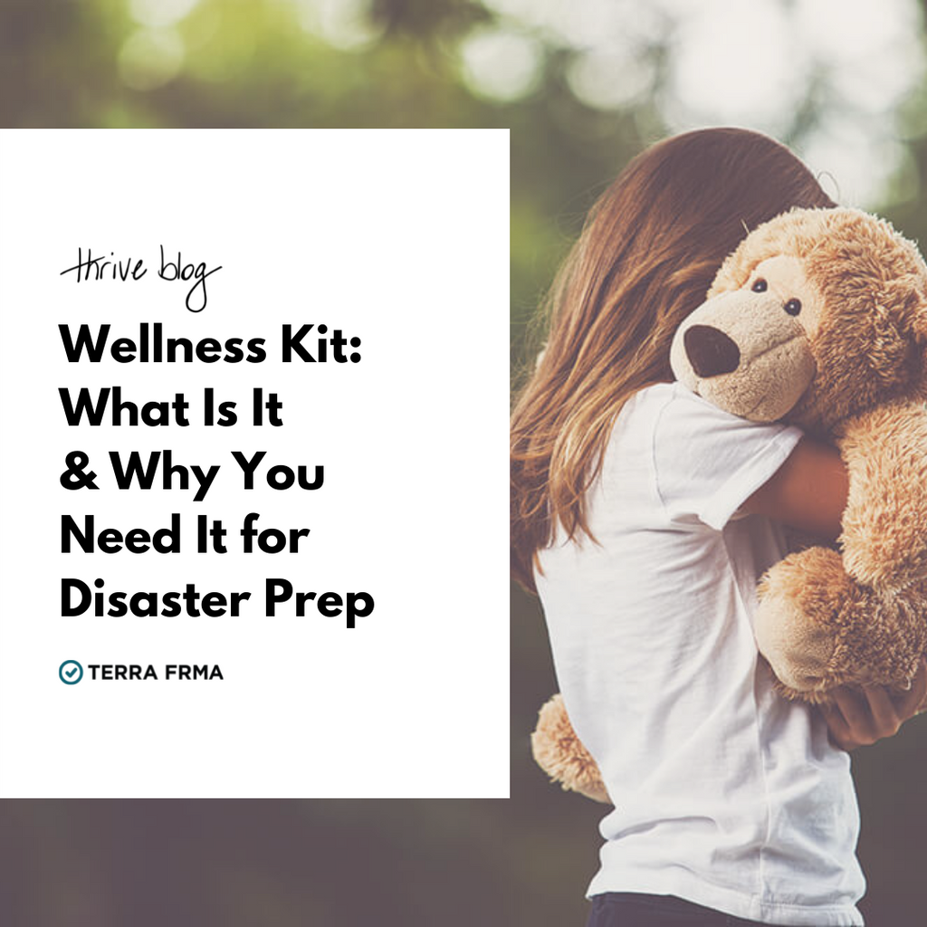 Why a Wellness Kit is Crucial for Your Disaster Preparedness – Terra Frma