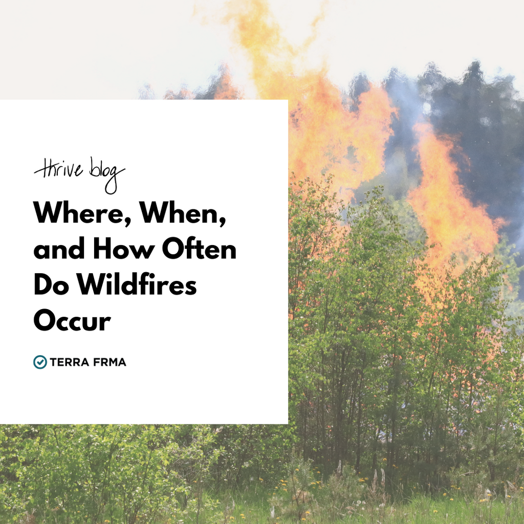 Where, When, and How Often Do Wildfires Occur – Terra Frma