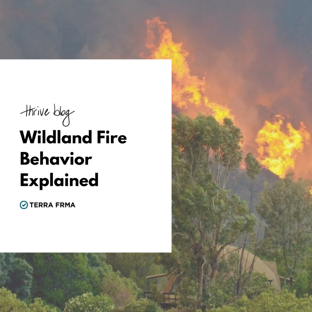 Top Tips for Understanding Wildland Fire Behavior – Terra Frma